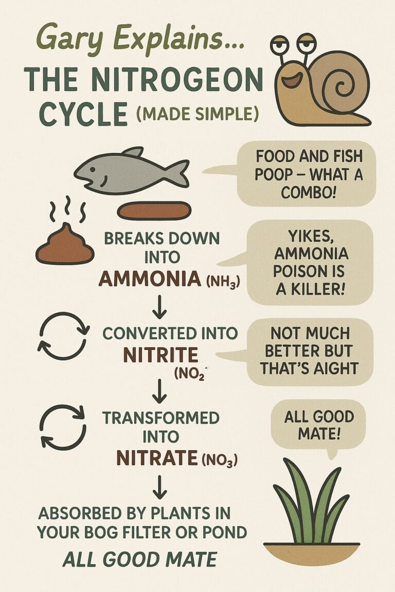 Why Pond Filter Size Matters (And How to Get It Right) – Ozponds