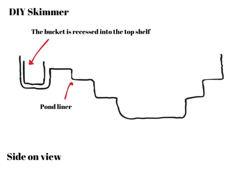 DIY Pond Skimmer: A Budget-Friendly Guide – Ozponds