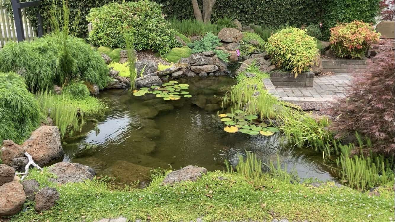 Pond Products Ozponds Pond Products Ozponds