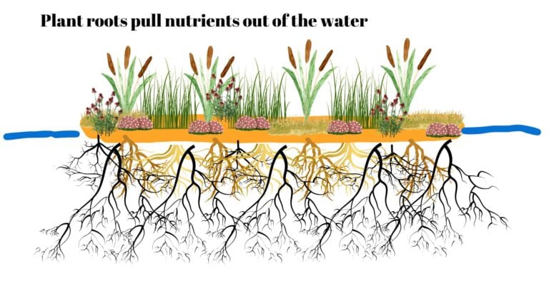 How to Filter Large Ponds and Dams Without Breaking the Bank – Ozponds