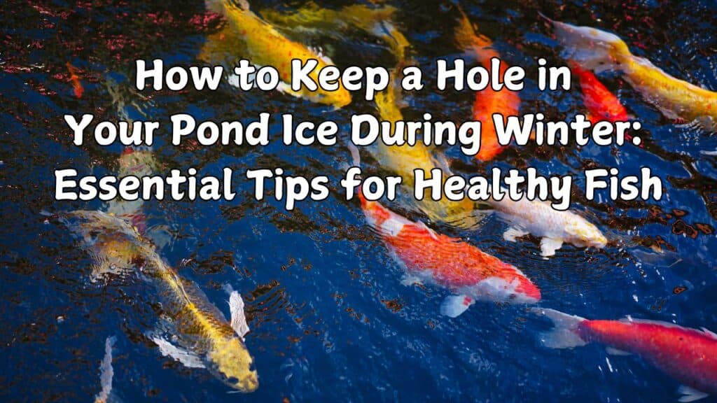 How to Keep a Hole in Your Pond Ice During Winter: Essential Tips for ...