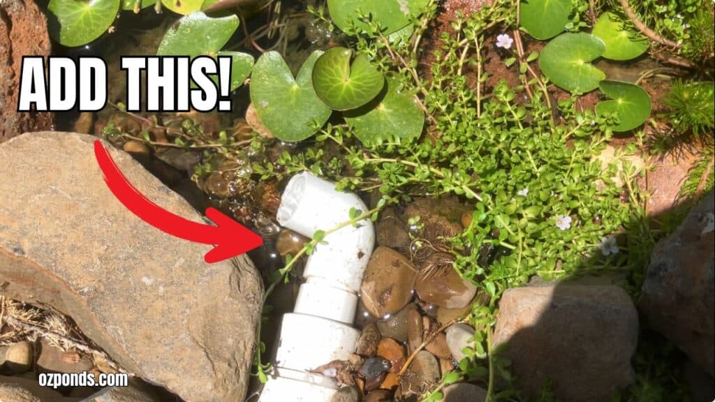 The Role of a Breather Pipe in a DIY Bog Filter: Tips and Tricks. – Ozponds