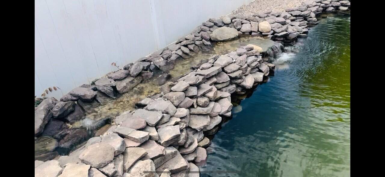 13 Years Later — Dan Finally Built His Dream Pond – Ozponds