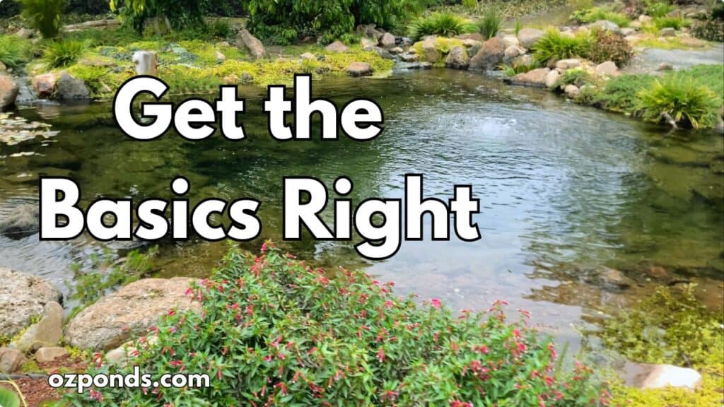 Backyard Pond Basics: How to Build a Crystal-Clear, Low-Maintenance ...