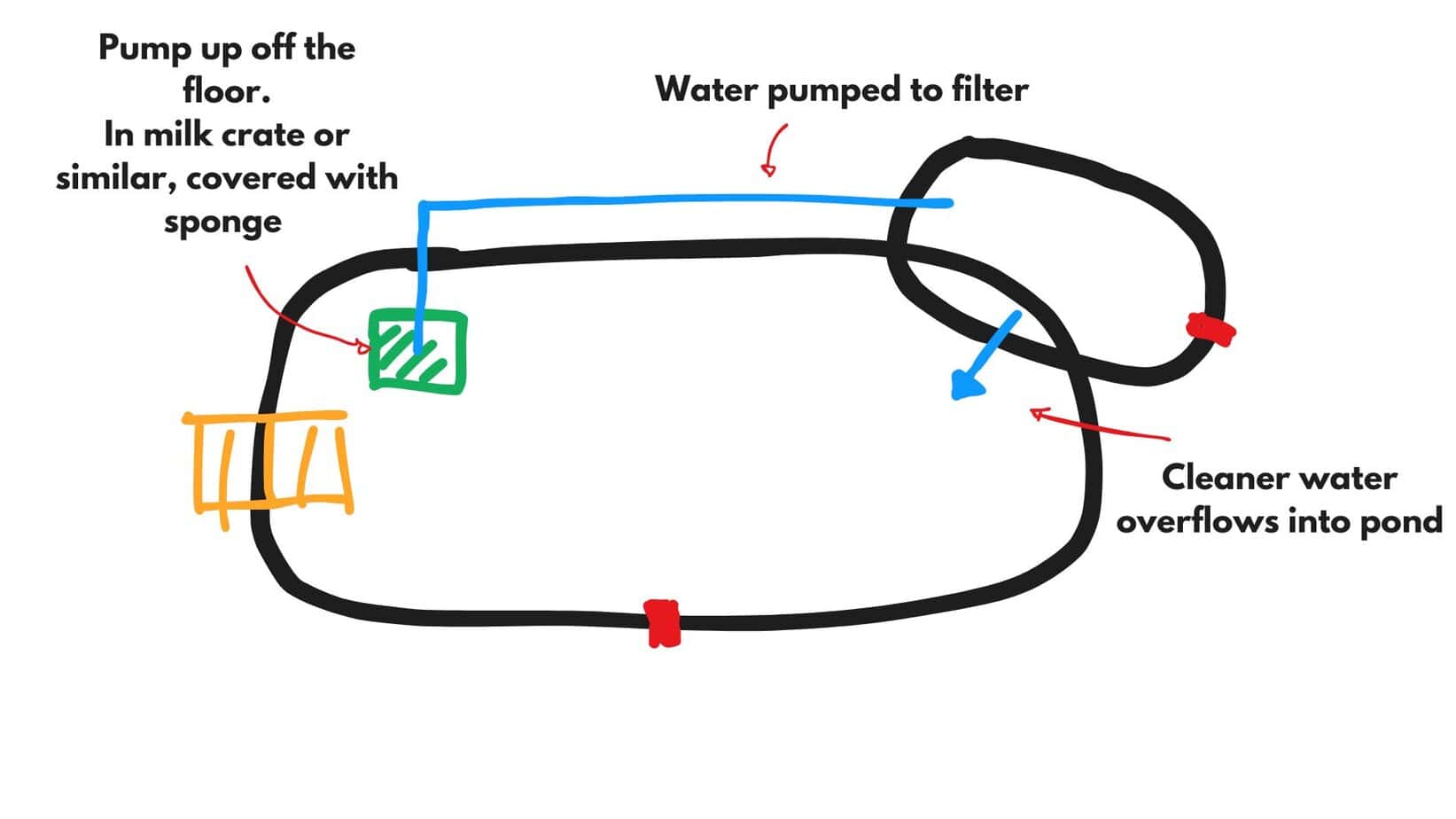 How to Build a Duck Pond (Two Ways: Cheap vs. Dream Setup) – Ozponds