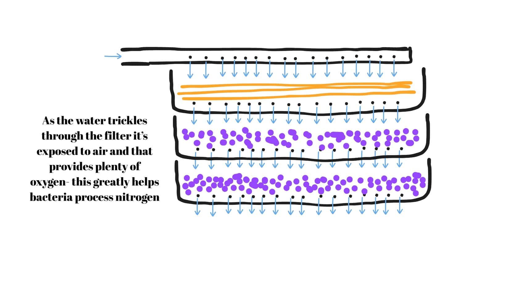 3 Simple DIY Biological Filters That Keep Pond Water Crystal Clear ...