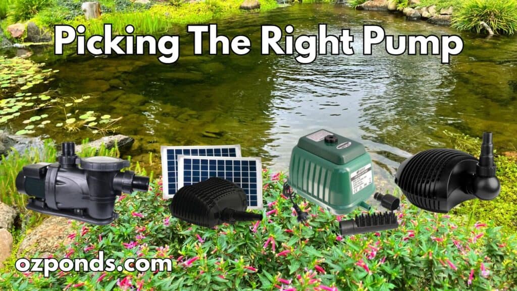 Pond Pumps Explained: How to Choose the Right Pump for Your Pond System ...